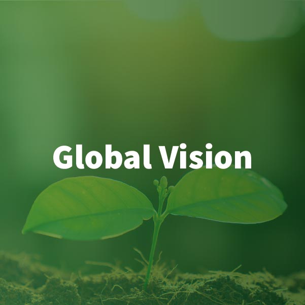 Global Vision